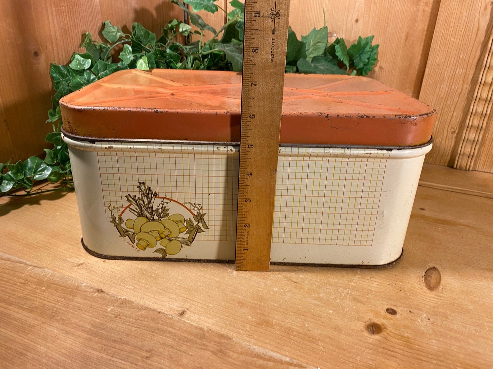 Vintage Mushroom Tin Box With Lid | Cheinco | Metal Tin With Mushrooms ...