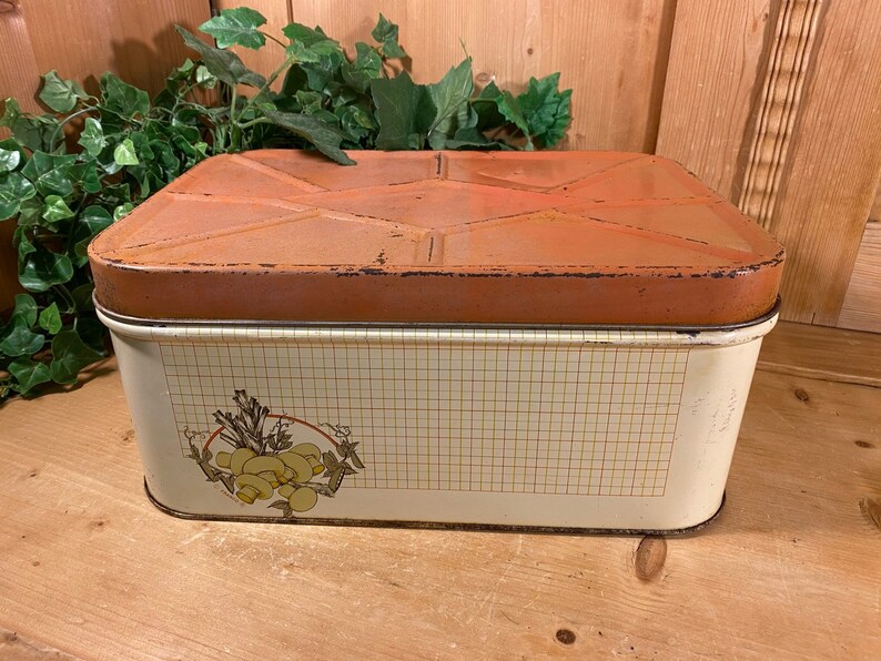 Vintage Mushroom Tin Box With Lid | Cheinco | Metal Tin With Mushrooms ...