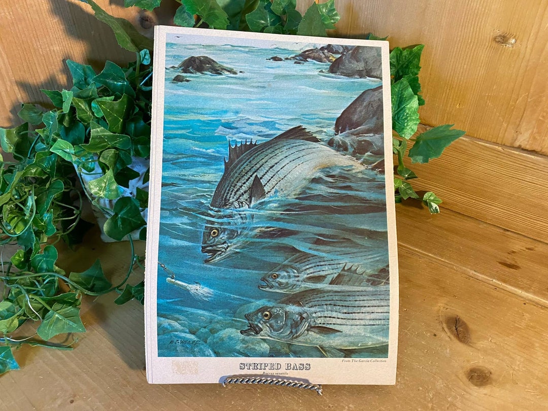 Vintage Advertising: Garcia Abu-matic Fishing Pole | Fishing Pole Ad ...