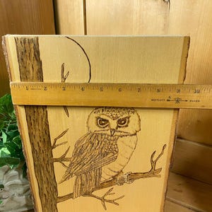 Vintage Hardcover Pyrography Book Owl Wood Art Vintage HC Owl Book ...