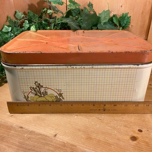 Vintage Mushroom Tin Box With Lid | Cheinco | Metal Tin With Mushrooms ...