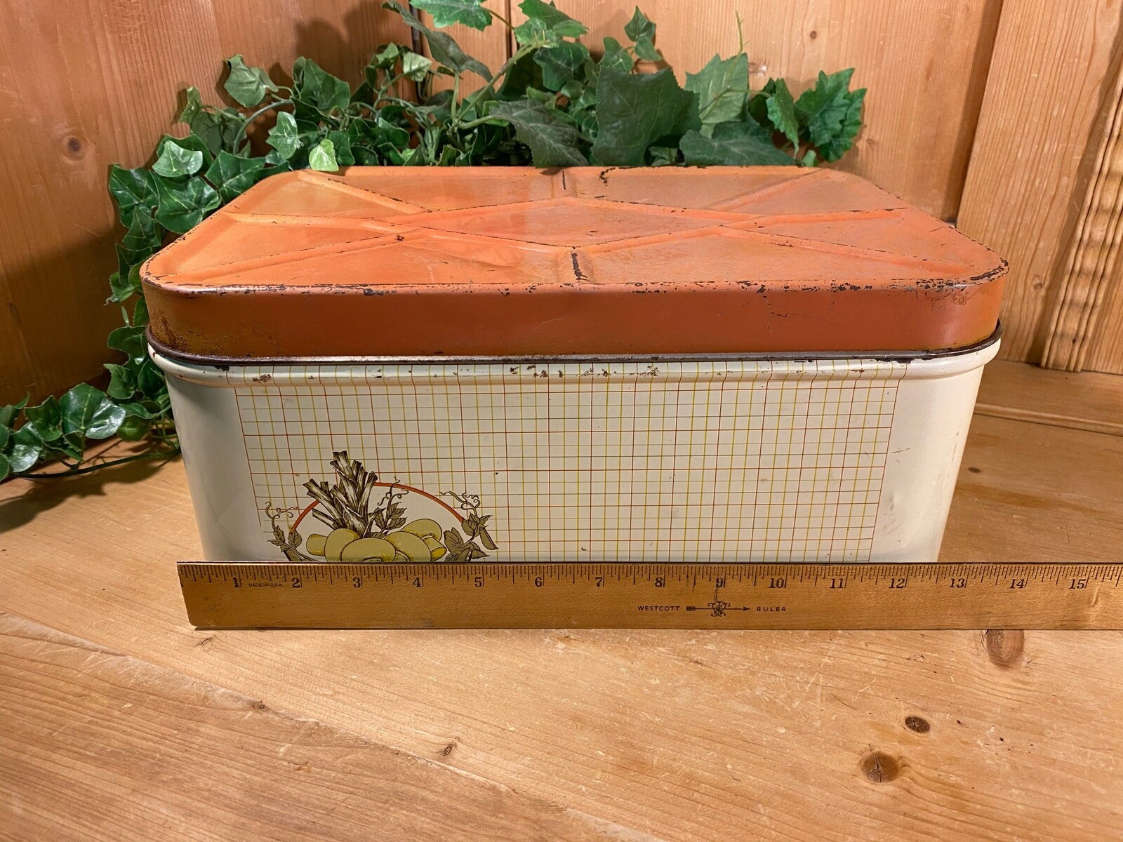 Vintage Mushroom Tin Box With Lid | Cheinco | Metal Tin With Mushrooms ...