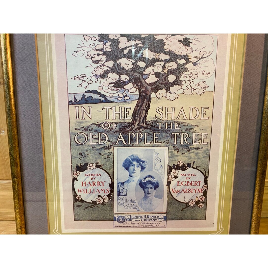 Vintage Framed Matted Sheet Music Book Cover | 1905 | in the Shade of ...