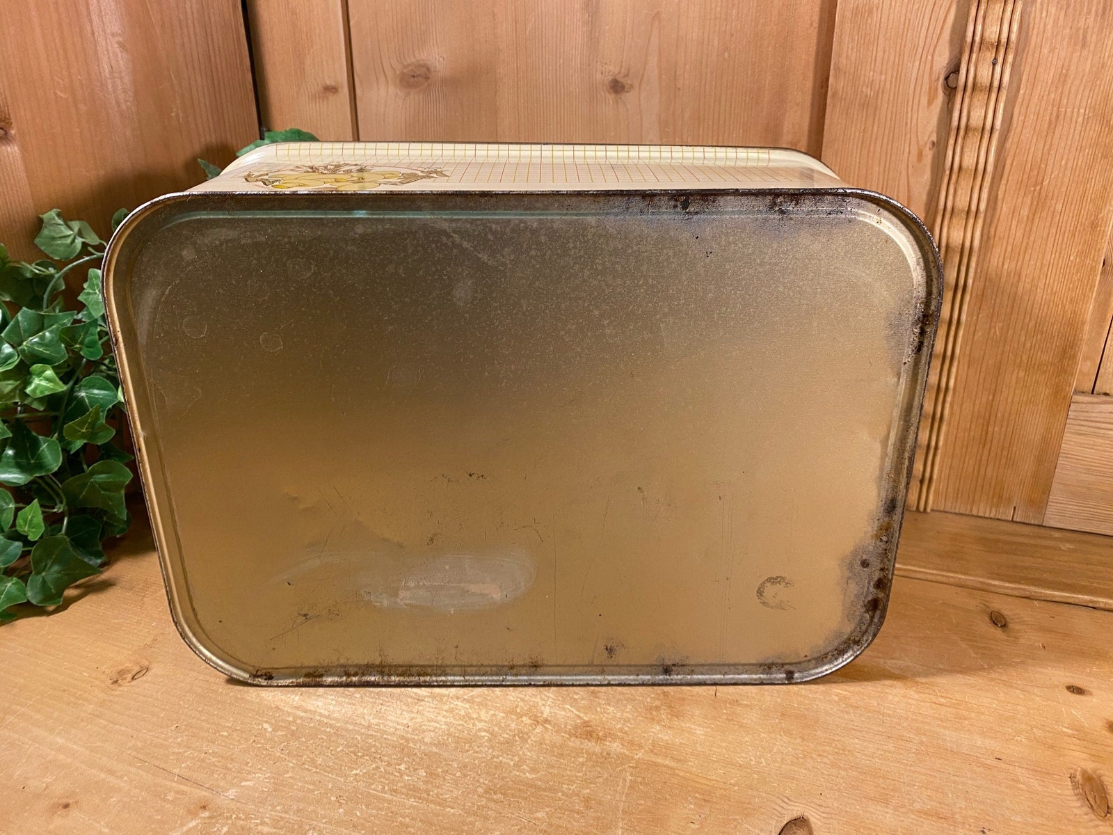 Vintage Mushroom Tin Box With Lid | Cheinco | Metal Tin With Mushrooms ...