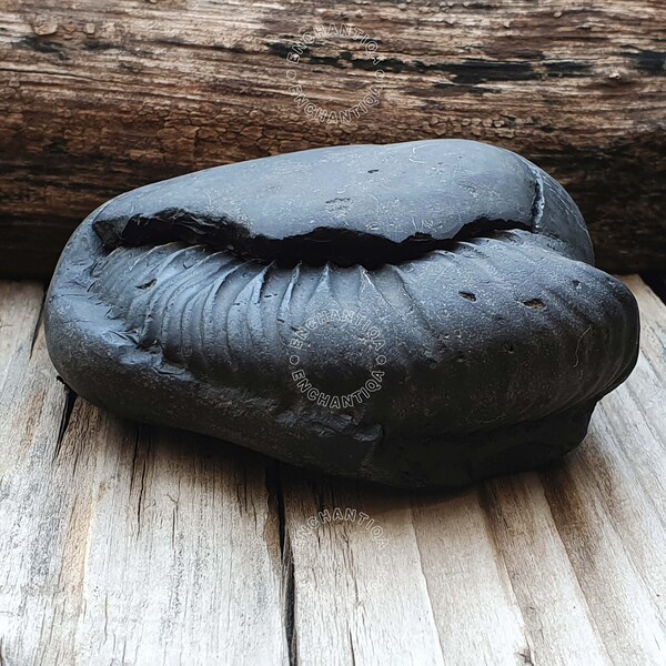 Saligram Stone - Etsy