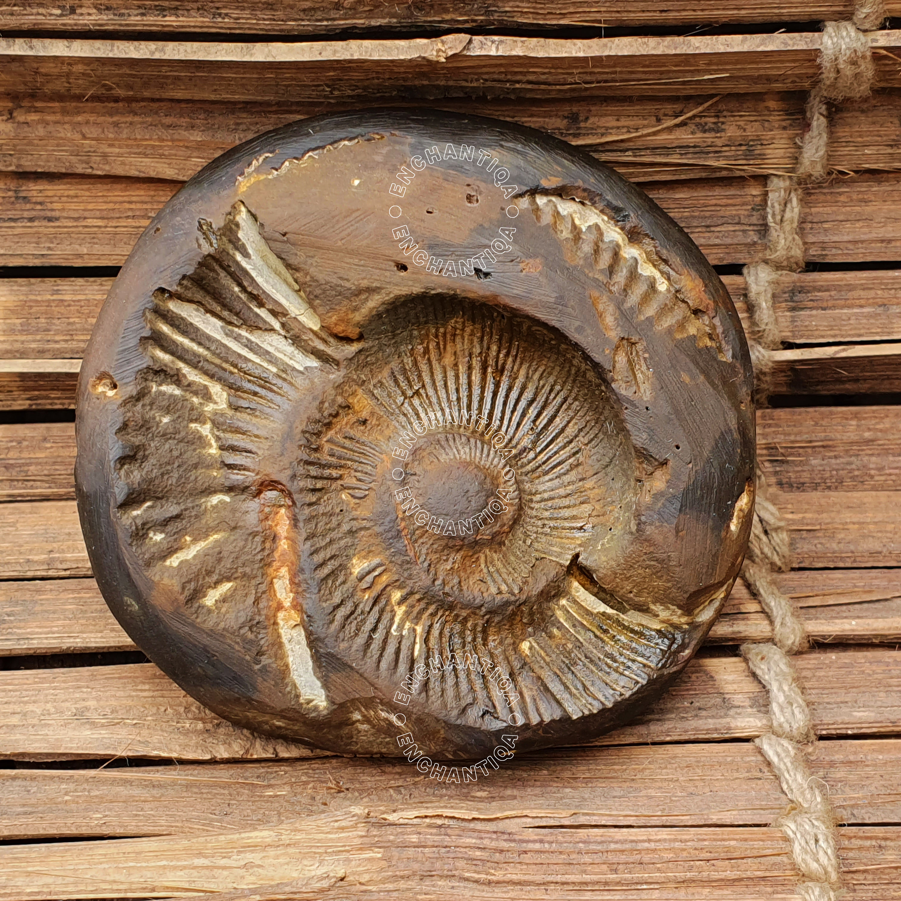 Rare White Yellow Shaligram, Rare Sudershan Shaligram, Religious Gifts ...