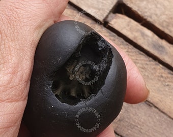 Rare Golden Narsimha Shaligram From Gandaki River Nepal, Holy Stone ...