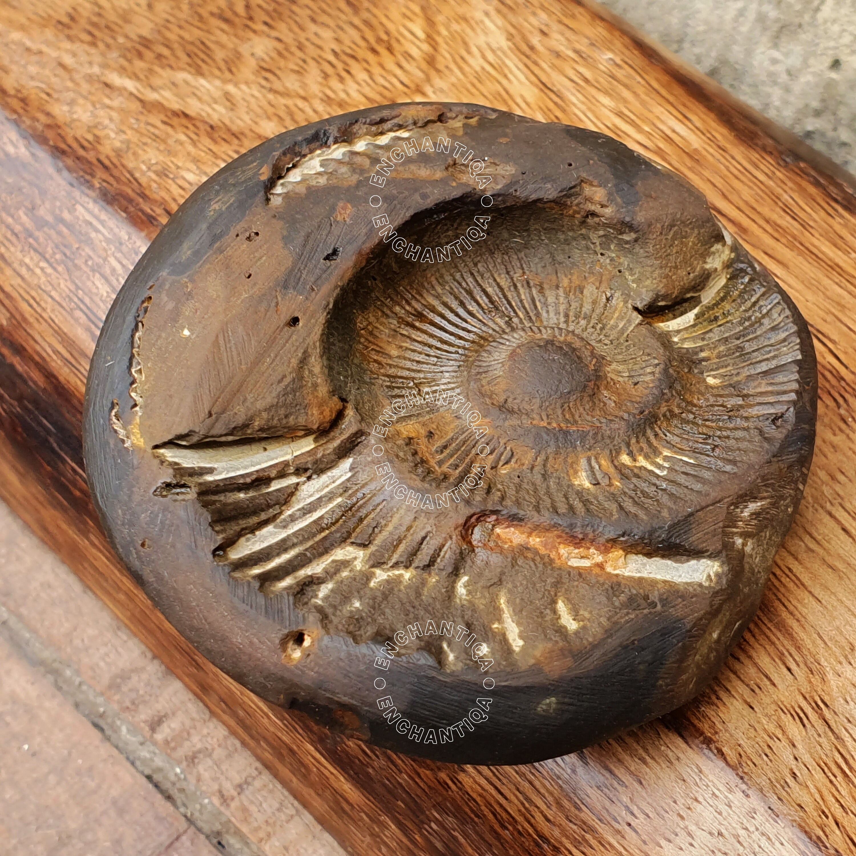 Rare White Yellow Shaligram, Rare Sudershan Shaligram, Religious Gifts ...