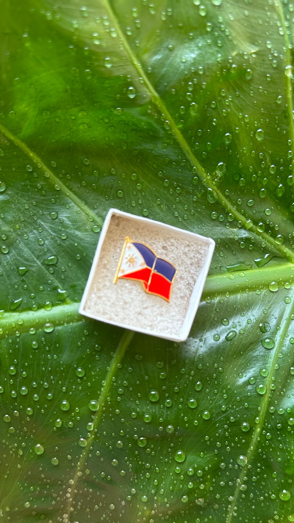 Philippine Flag Pin | Philippine Accessory - Etsy