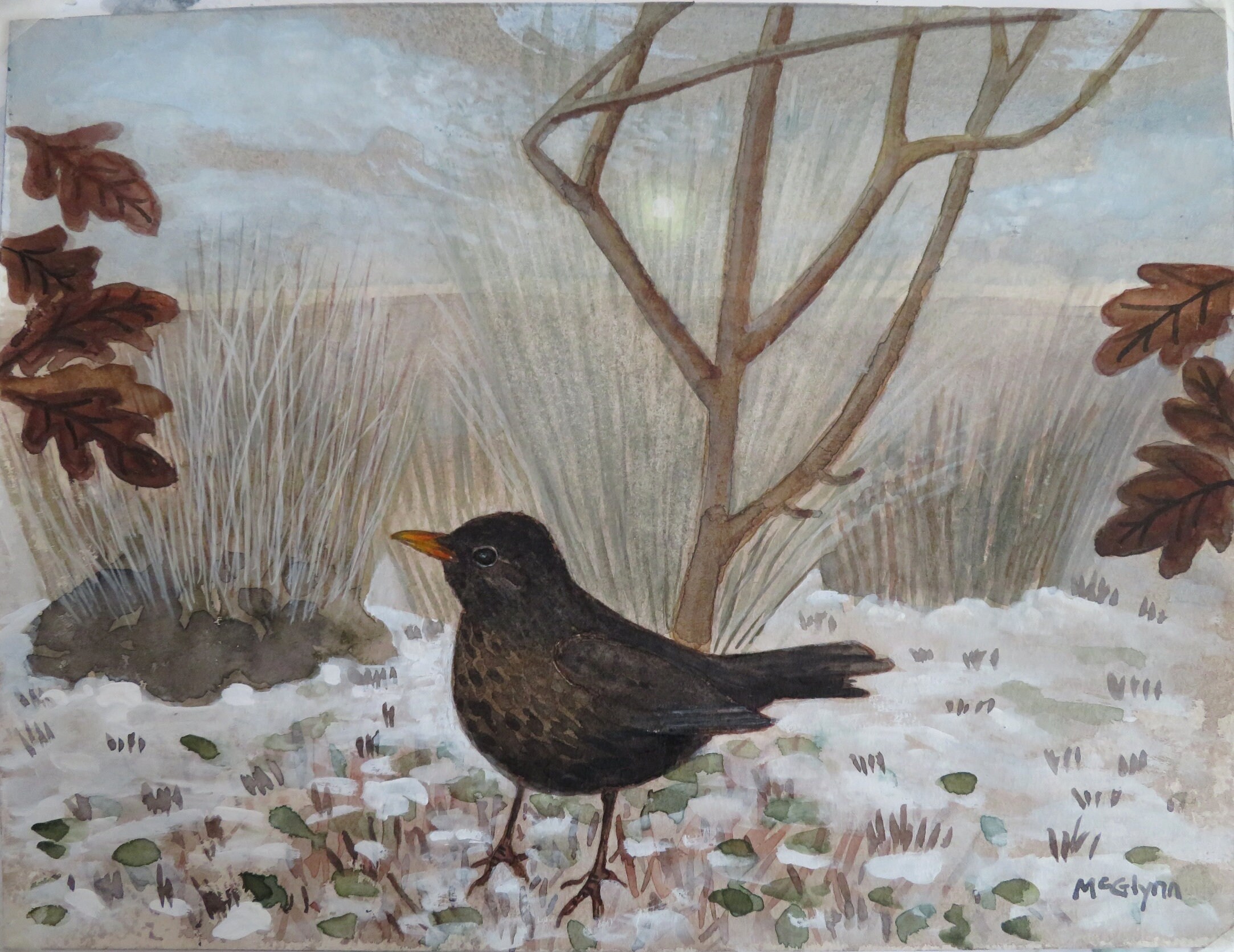 Lady Blackbird Winter Sun | Etsy