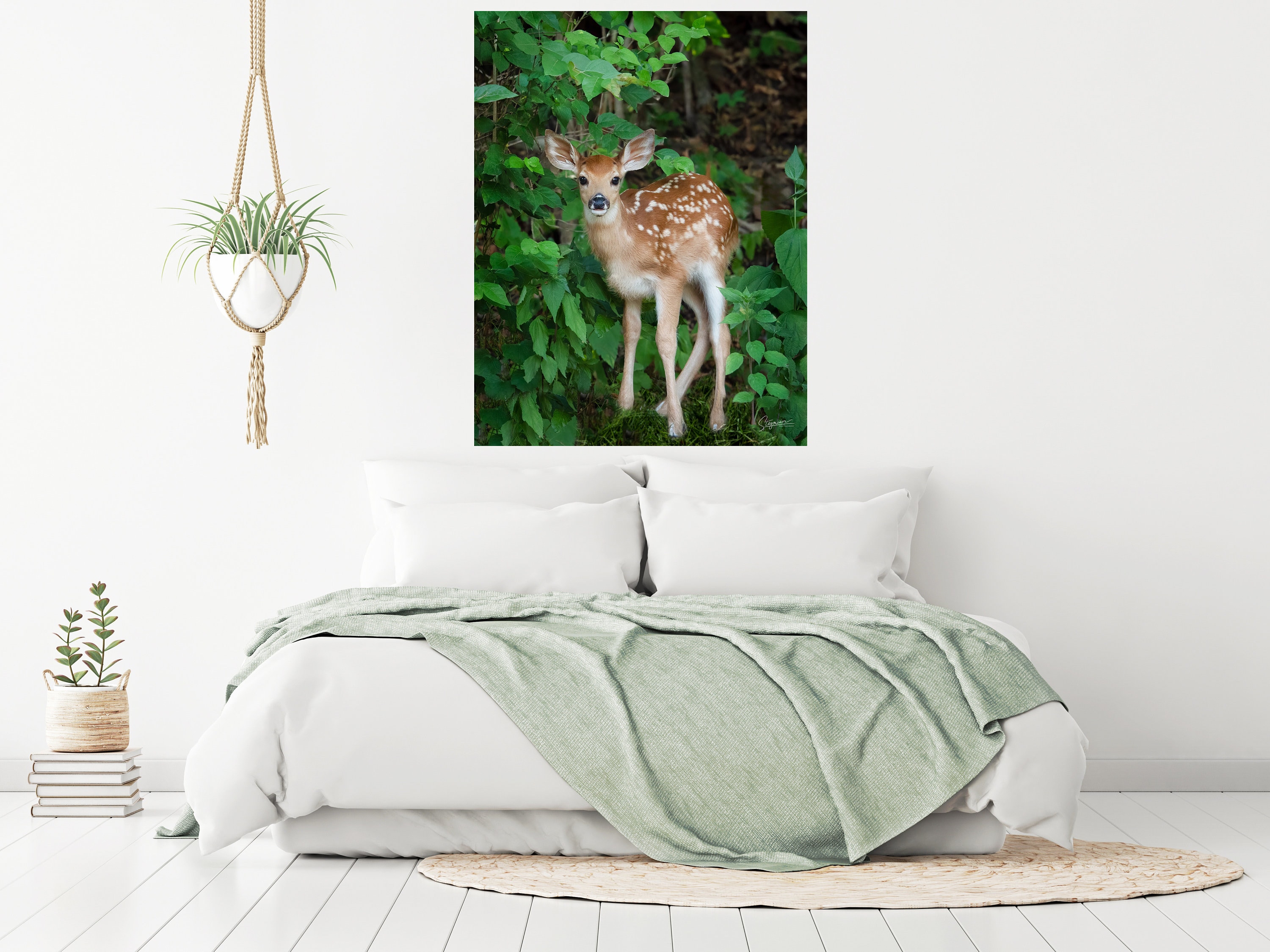 Fawn, Fawn Print, Baby Deer, White Tail Deer, Fawn Wall Art, Spotted ...
