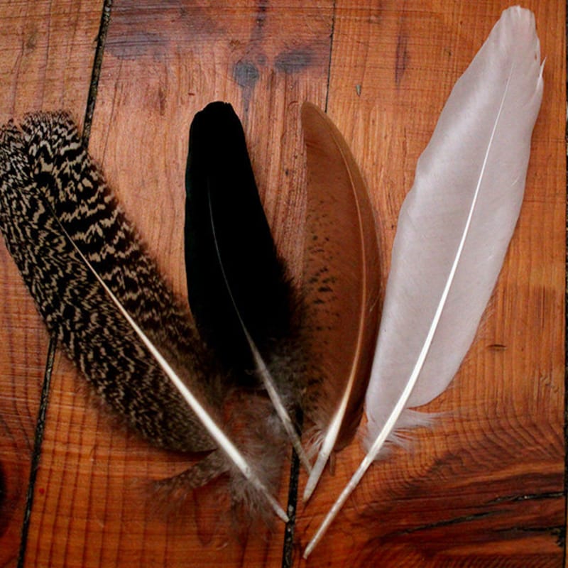 Eagle Feather Smudge - Etsy
