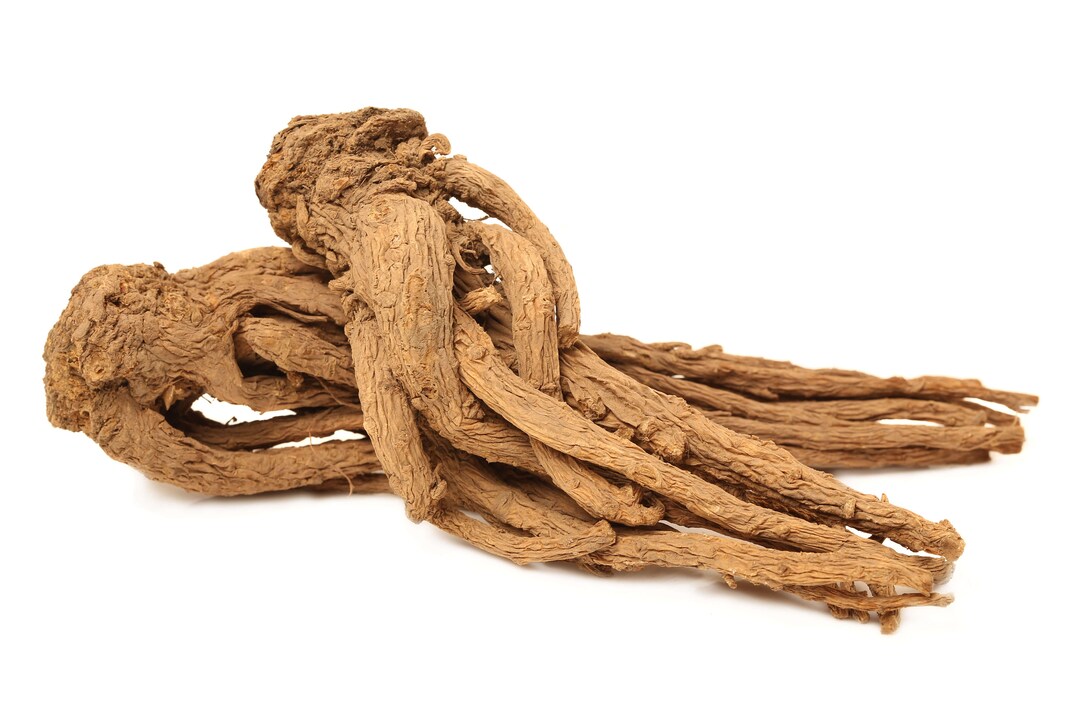 X1 Master Root (whole Angelica Root) for Protection - Voodoo Hoodoo ...