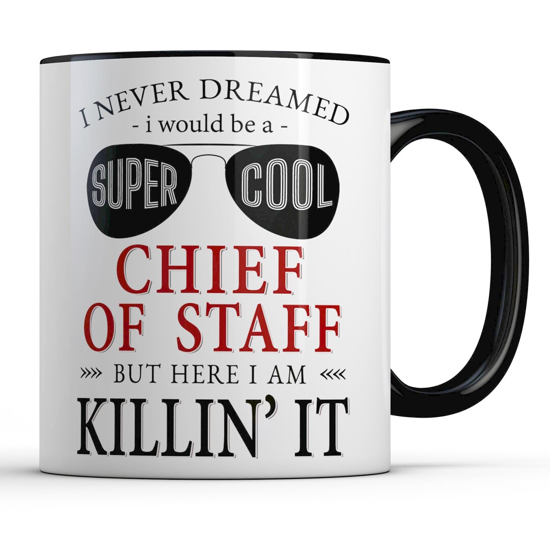 Funny Chief of Staff Gift for Hospital Chief of Staff Mug, Super Cool ...
