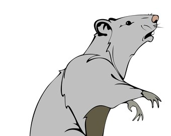 Target Practice Instant Download Printable Digital Shooting - Etsy