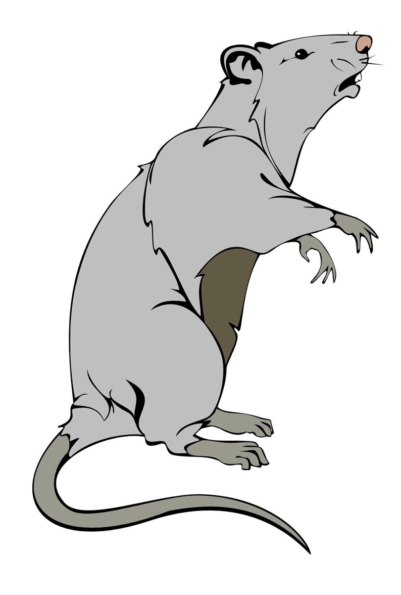 Rat Target Standing Instant Download - Etsy