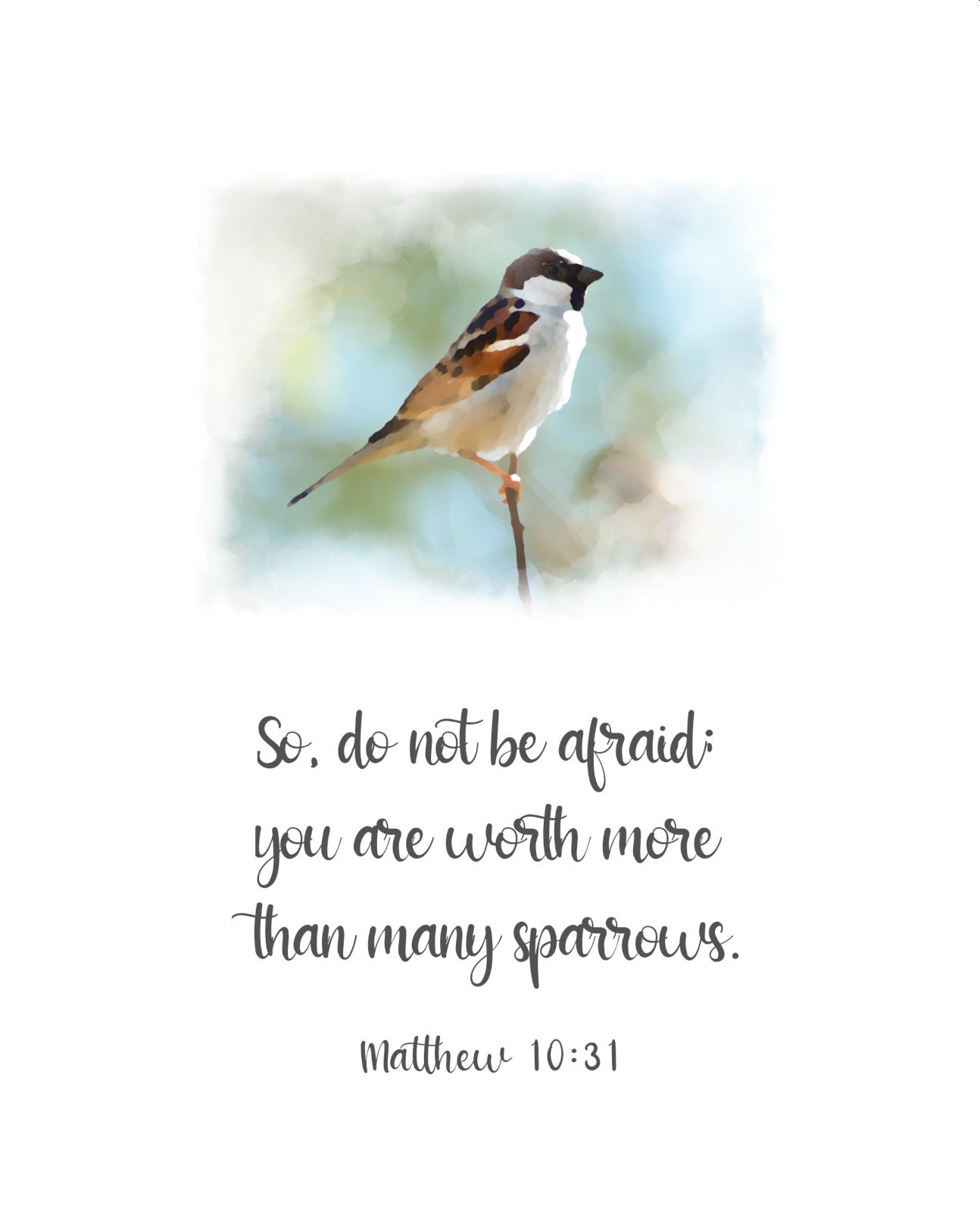 You Are Worth More Than Many Sparrows Matthew 10:31 Bible - Etsy You Are Worth More Than Many Sparrows Matthew 10:31 Bible - Etsy