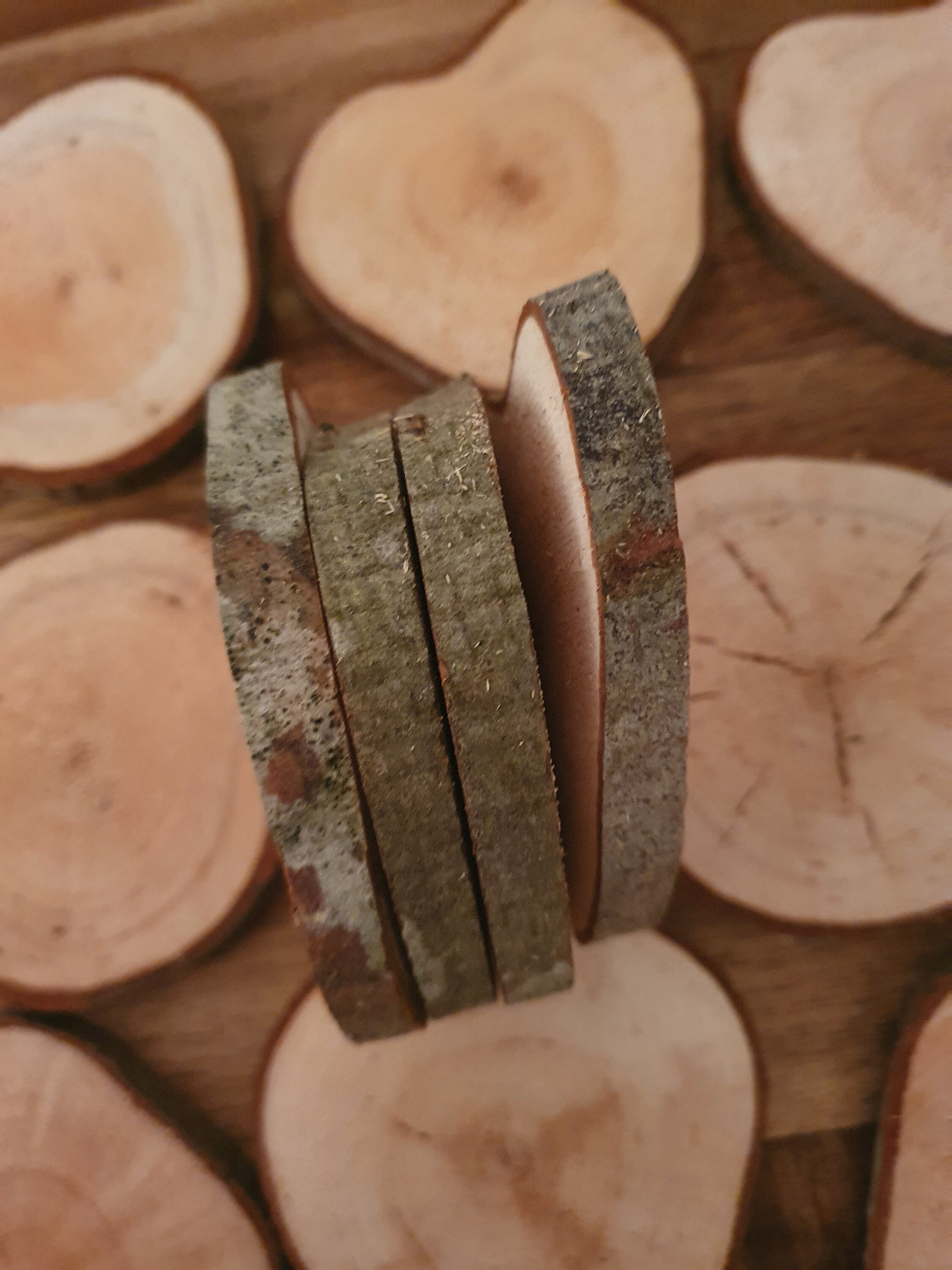 20 knot discs made of alder wood wooden discs tree discs | Etsy