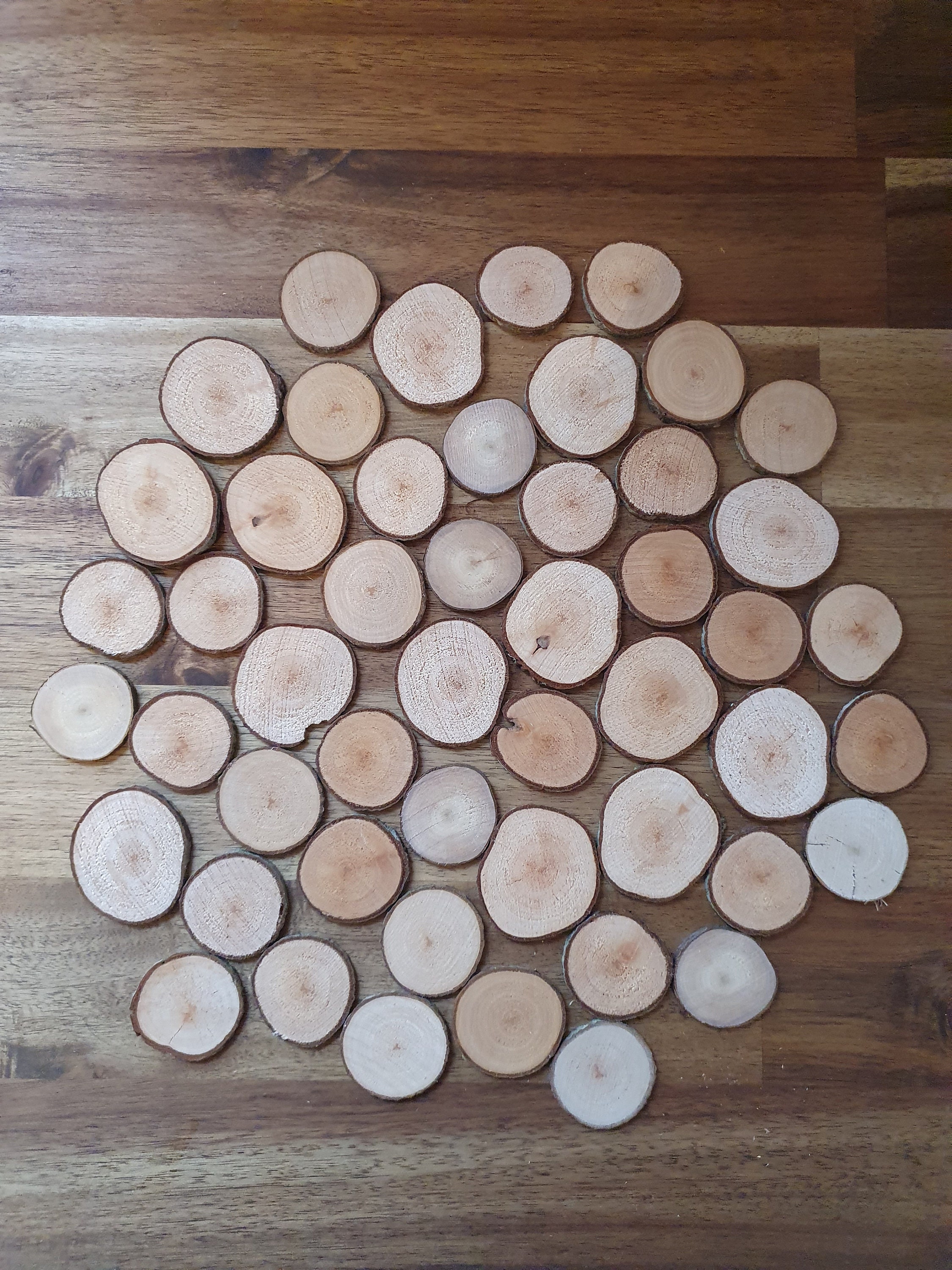 20 knot discs made of alder wood wooden discs tree discs | Etsy
