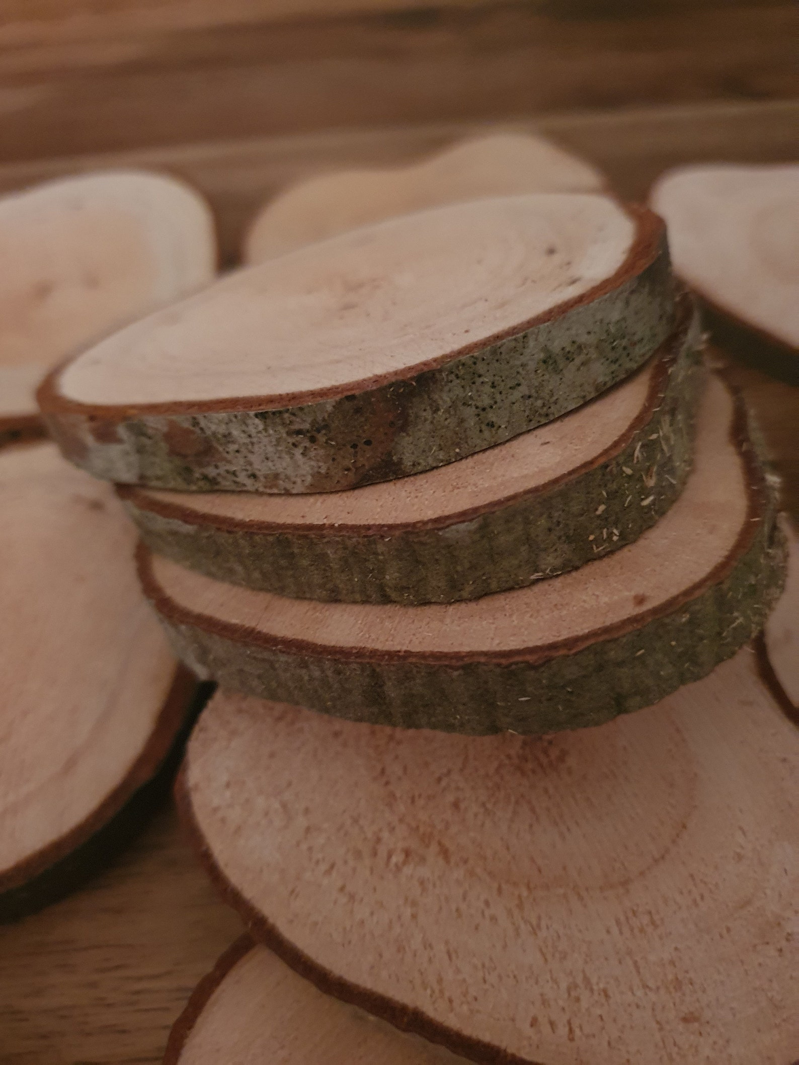 20 knot discs made of alder wood wooden discs tree discs | Etsy