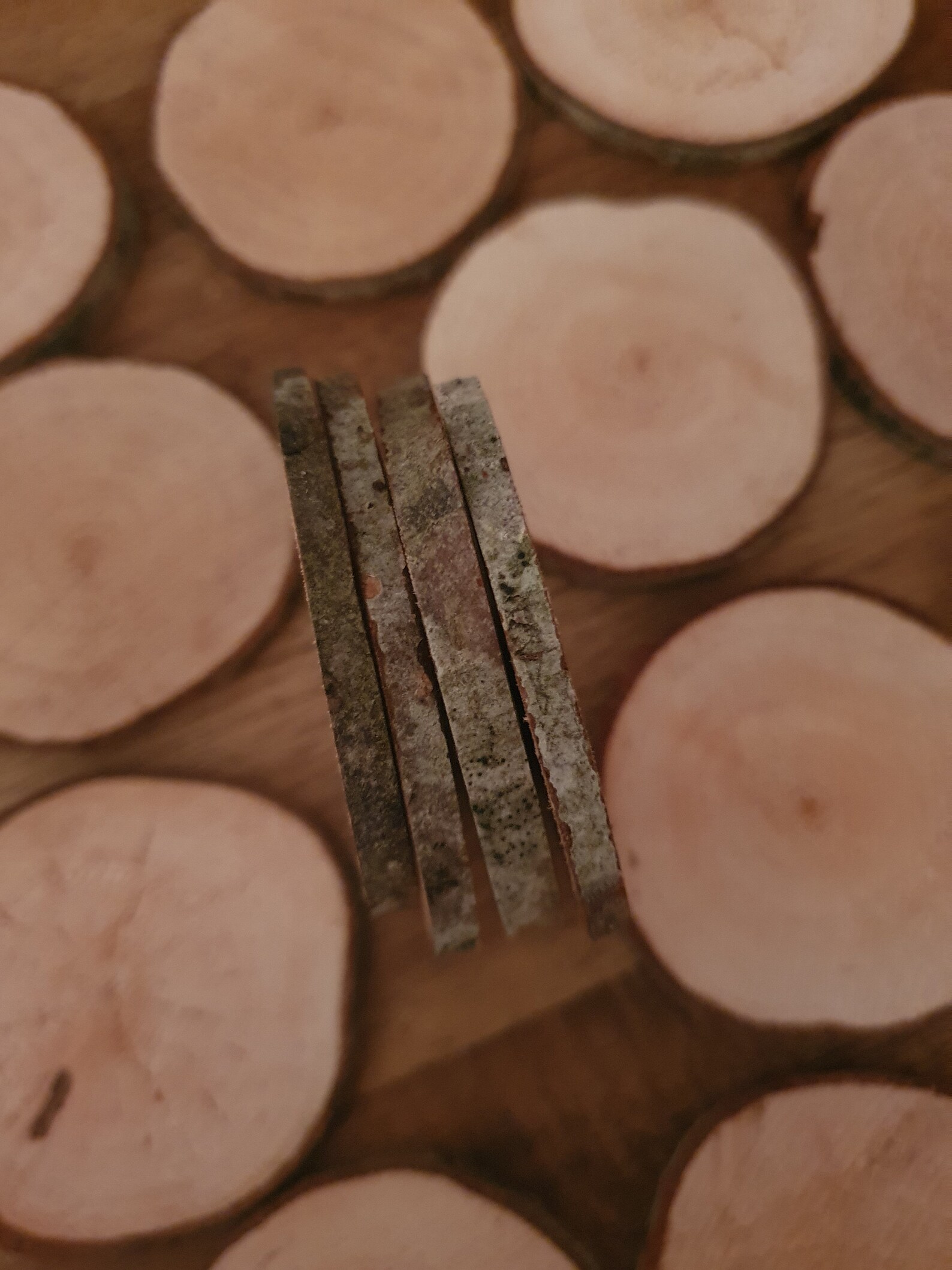 20 knot discs made of alder wood wooden discs tree discs | Etsy