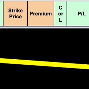 Buy/write Strategy Spreadsheet - Etsy