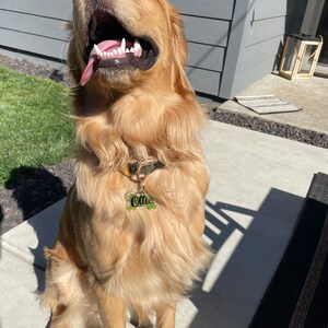 Dog Tag | Custom | Pressed Flowers - Etsy