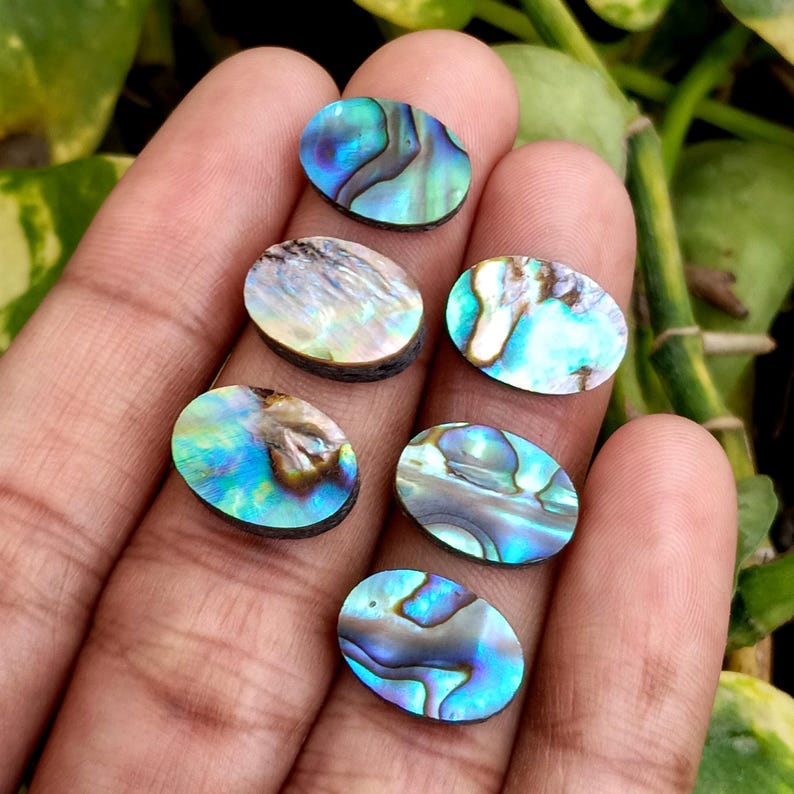 Paua Abalone Shell Cabochons: Oval Flat Back Gemstone Lot for Jewelry ...