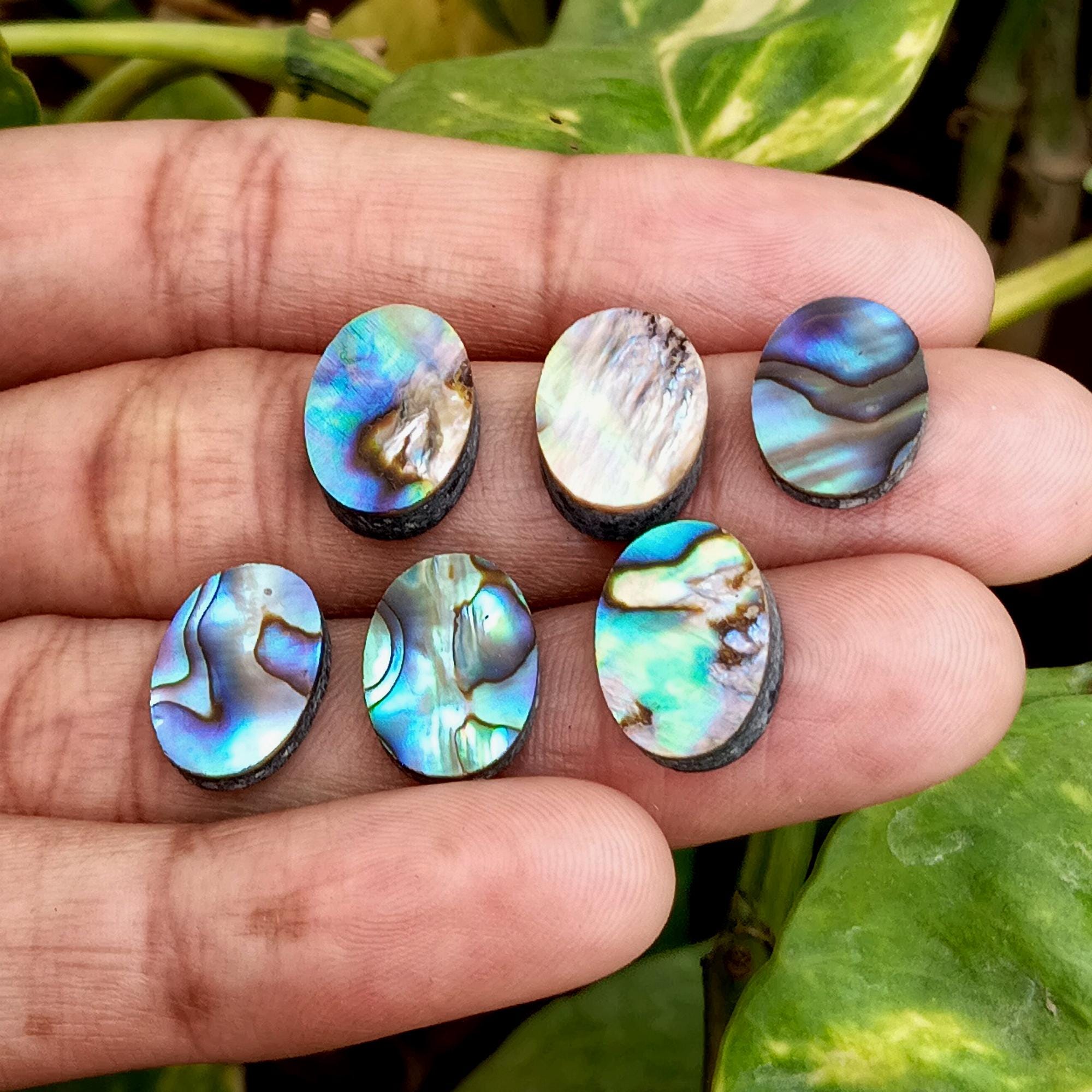 Paua Abalone Shell Cabochons: Oval Flat Back Gemstone Lot for Jewelry ...
