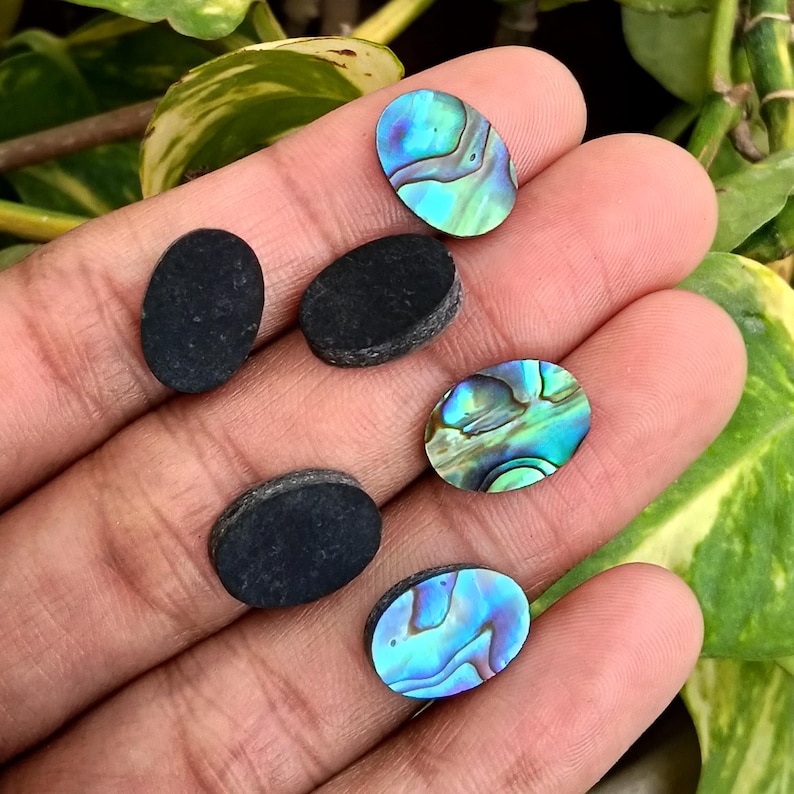 Paua Abalone Shell Cabochons: Oval Flat Back Gemstone Lot for Jewelry ...