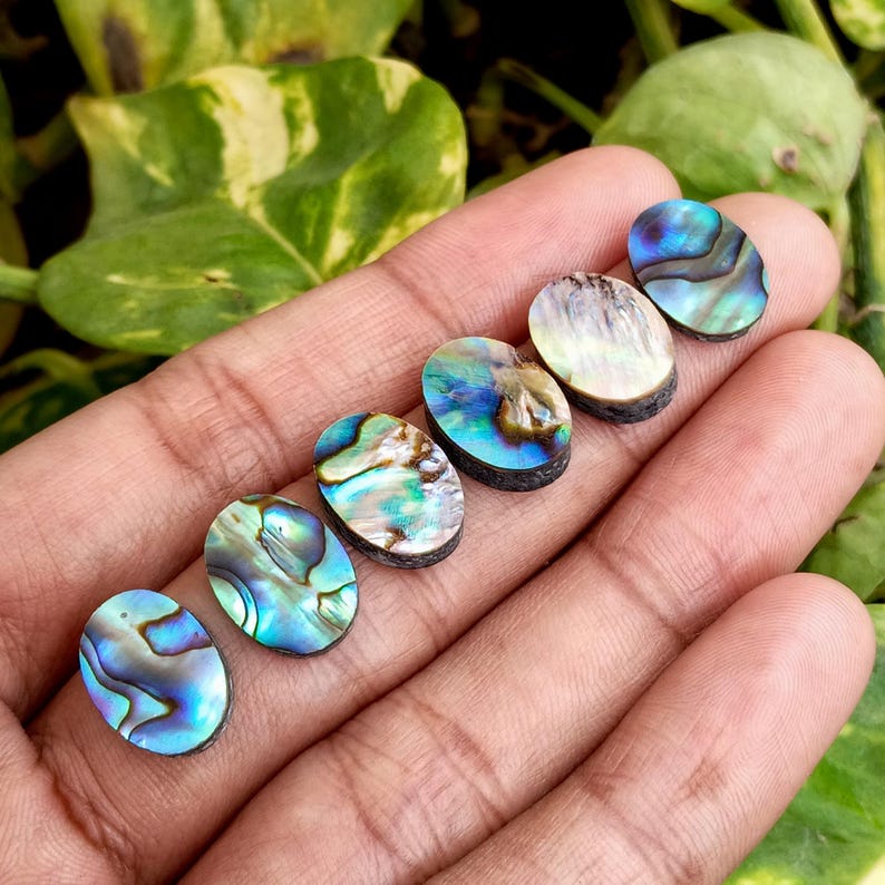 Paua Abalone Shell Cabochons: Oval Flat Back Gemstone Lot for Jewelry ...