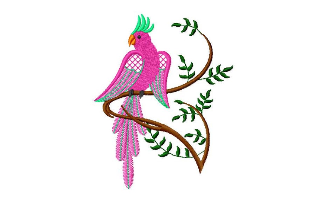 Parrot Embroidery Design, Bird Embroidery, Cockatoo Design, Machine ...