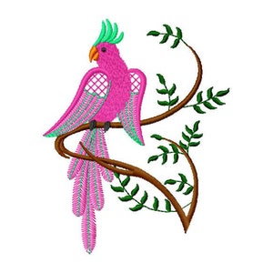 Parrot Embroidery Design, Bird Embroidery, Cockatoo Design, Machine ...