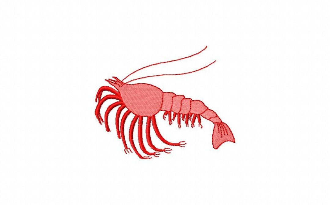 Sea Shrimp Embroidery Design, Ocean Animal Pattern (PES JEF) - Etsy