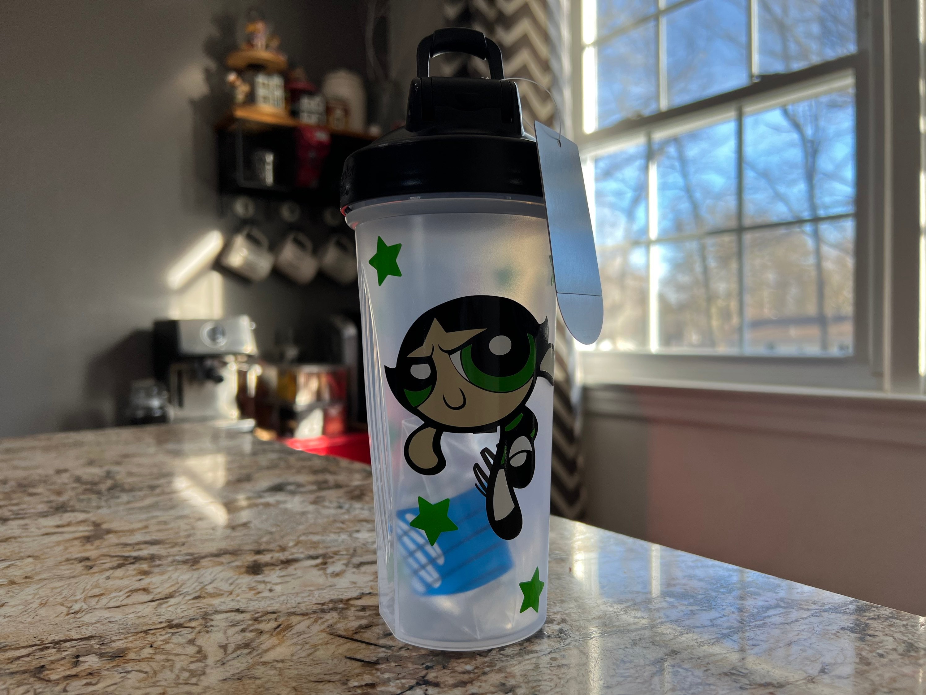 Powerpuff Girls Shaker Bottle, Blender Bottle, the Powerpuff Girls, Gym ...