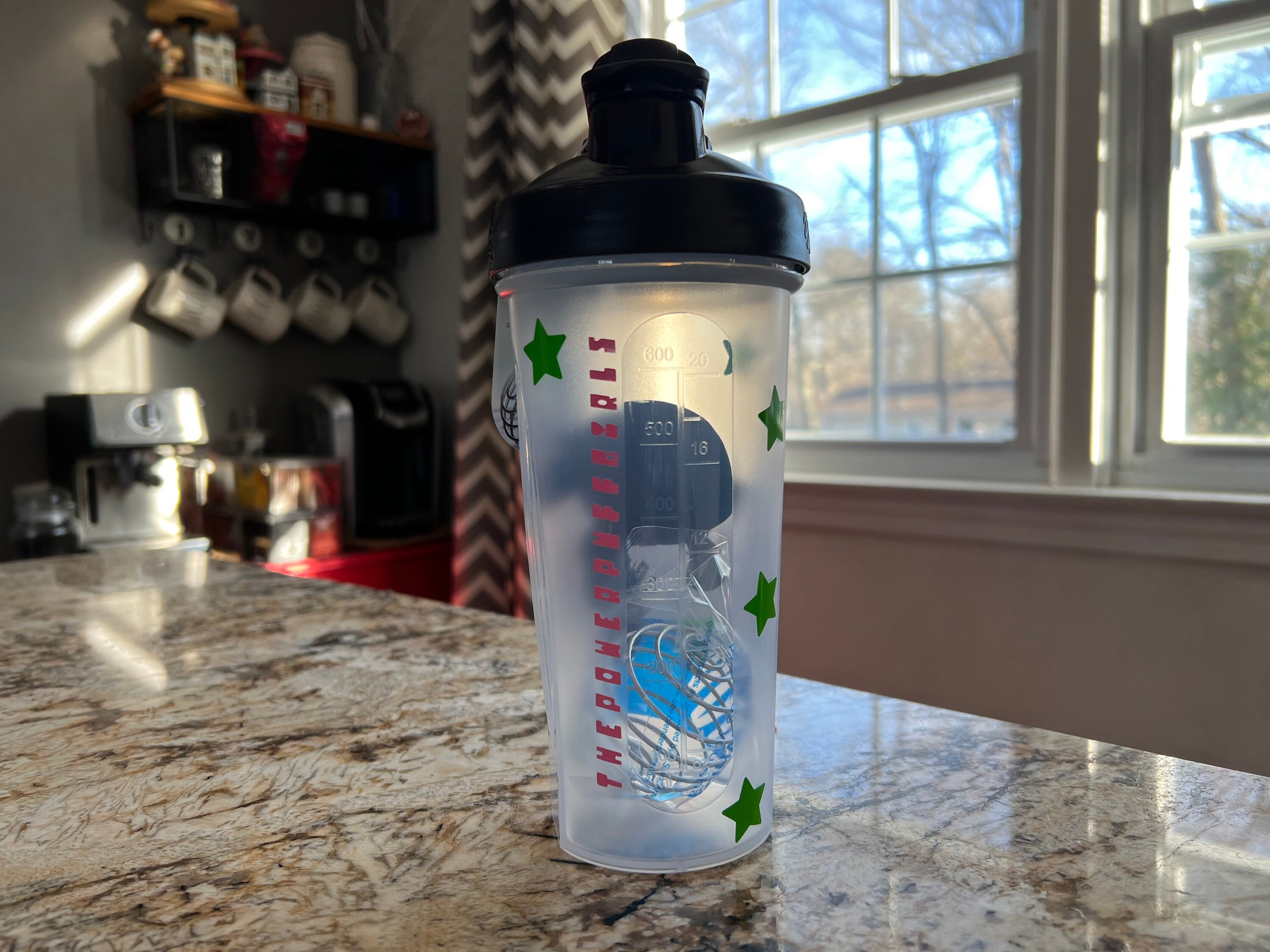 Powerpuff Girls Shaker Bottle Blender Bottle the Powerpuff - Etsy