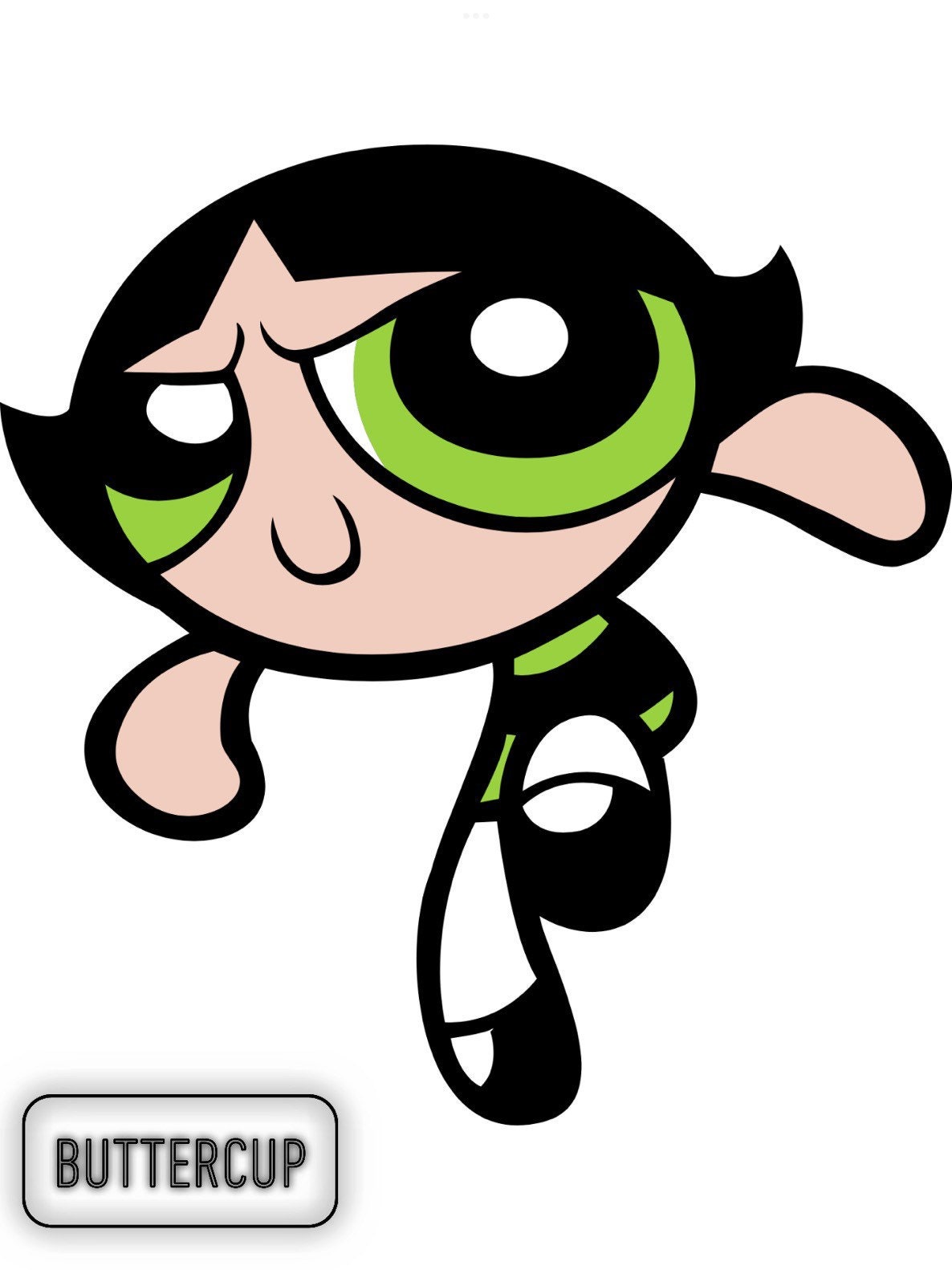 Powerpuff Girls Shaker Bottle, Blender Bottle, the Powerpuff Girls, Gym ...