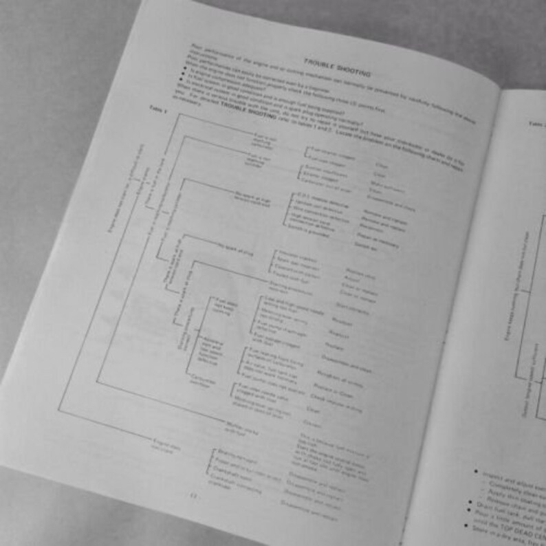Echo Cs-900evl Chainsaw Operators Owners Manual Chain Saw Maintenance 2 ...