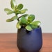 Sleeping Stone Face Planter Pot Indoor Outdoor Plant - Etsy