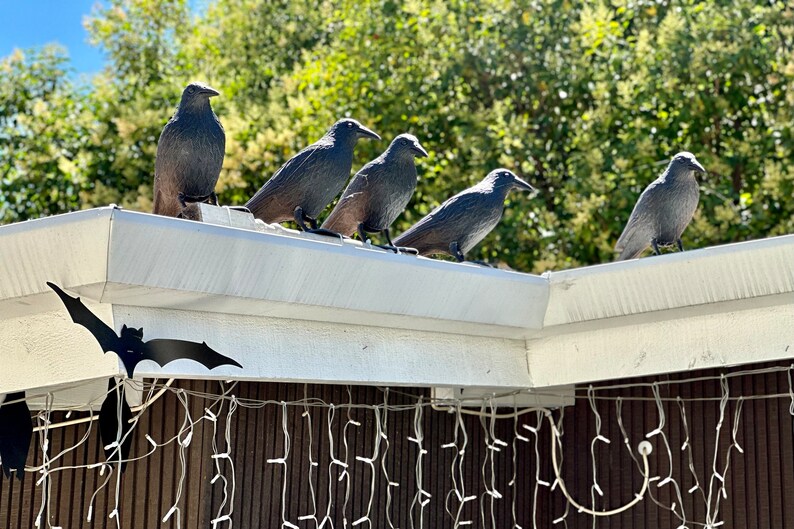Realistic Plastic Crow Raven Bird Halloween Decoration - Etsy
