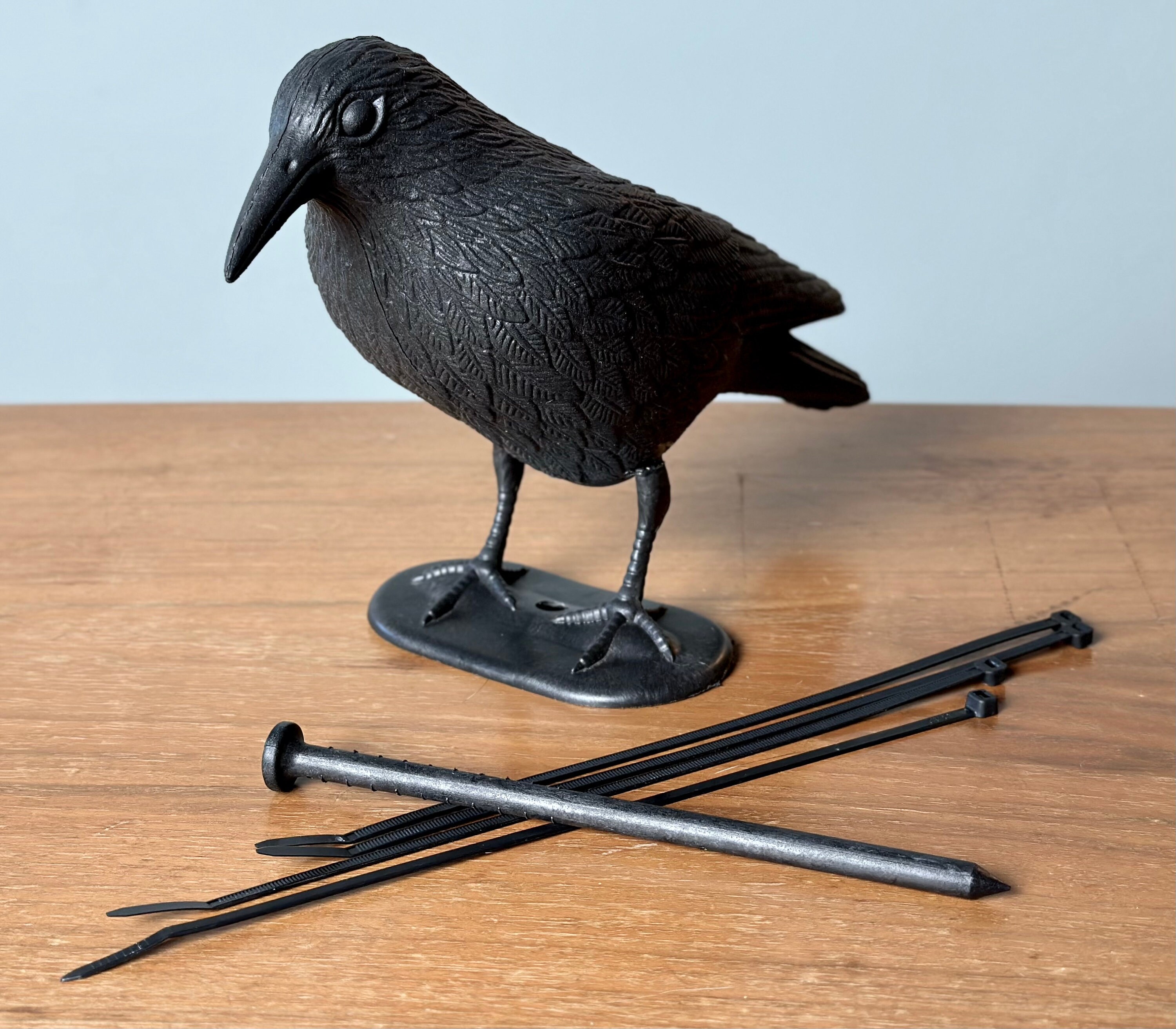 Realistic Plastic Crow Raven Bird Halloween Decoration - Etsy