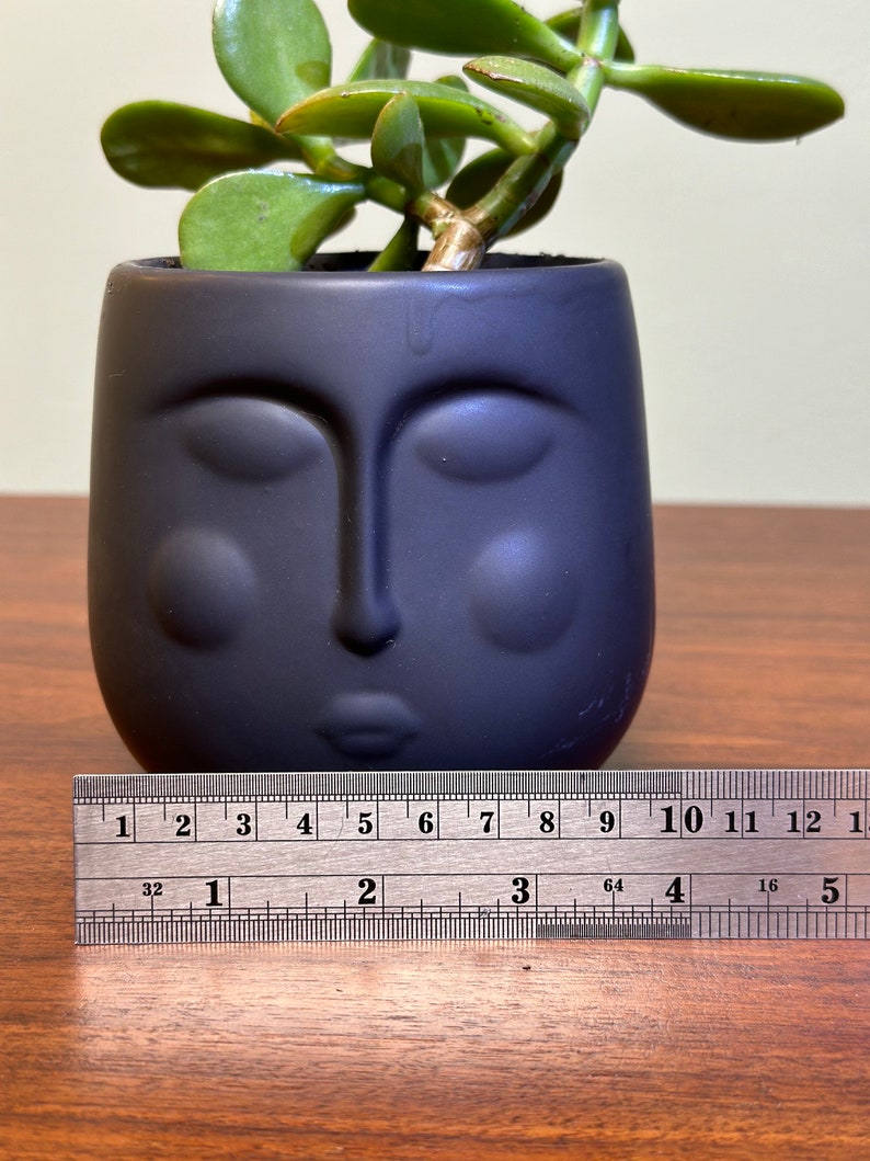 Sleeping Stone Face Planter Pot Indoor Outdoor Plant - Etsy