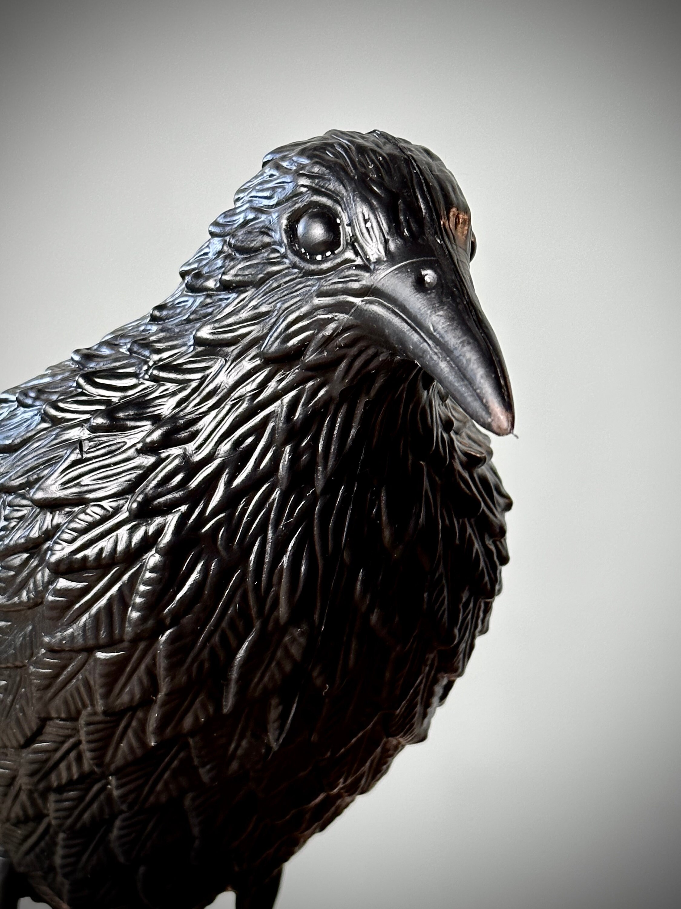 PREMIUM Realistic Plastic Crow Raven Bird Halloween - Etsy