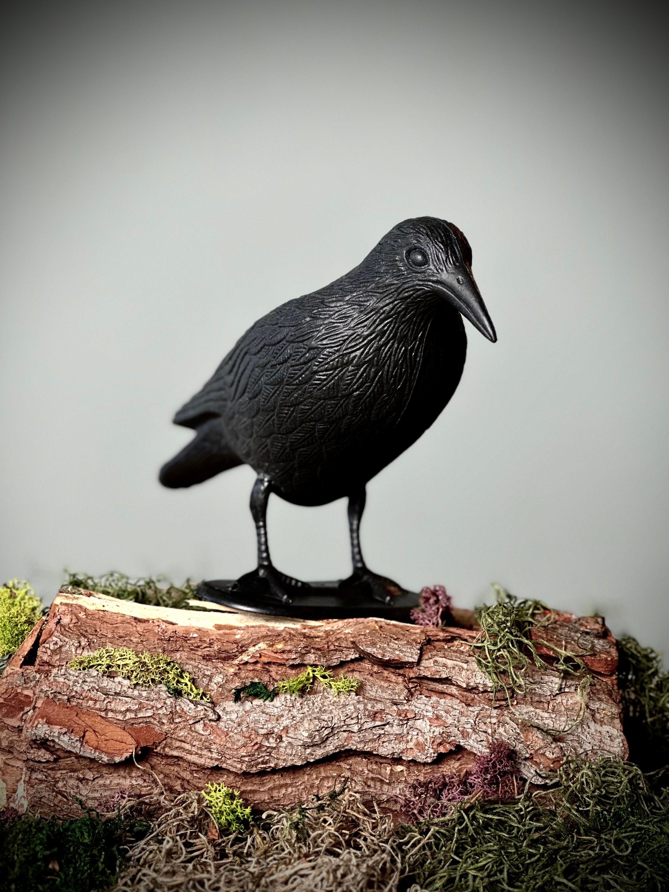 Realistic Plastic Crow Raven Bird Halloween Decoration - Etsy