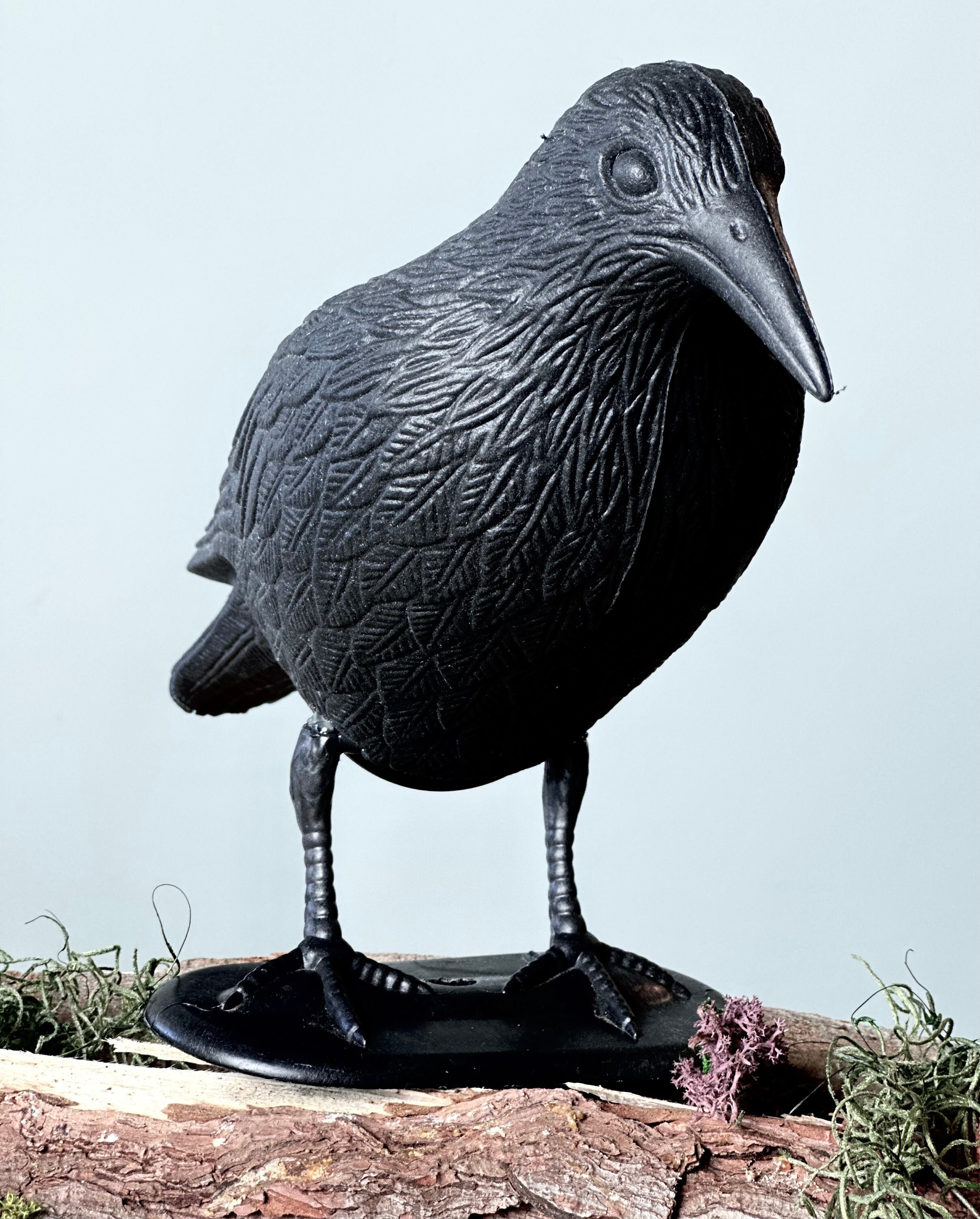Realistic Plastic Crow Raven Bird Halloween Decoration - Etsy