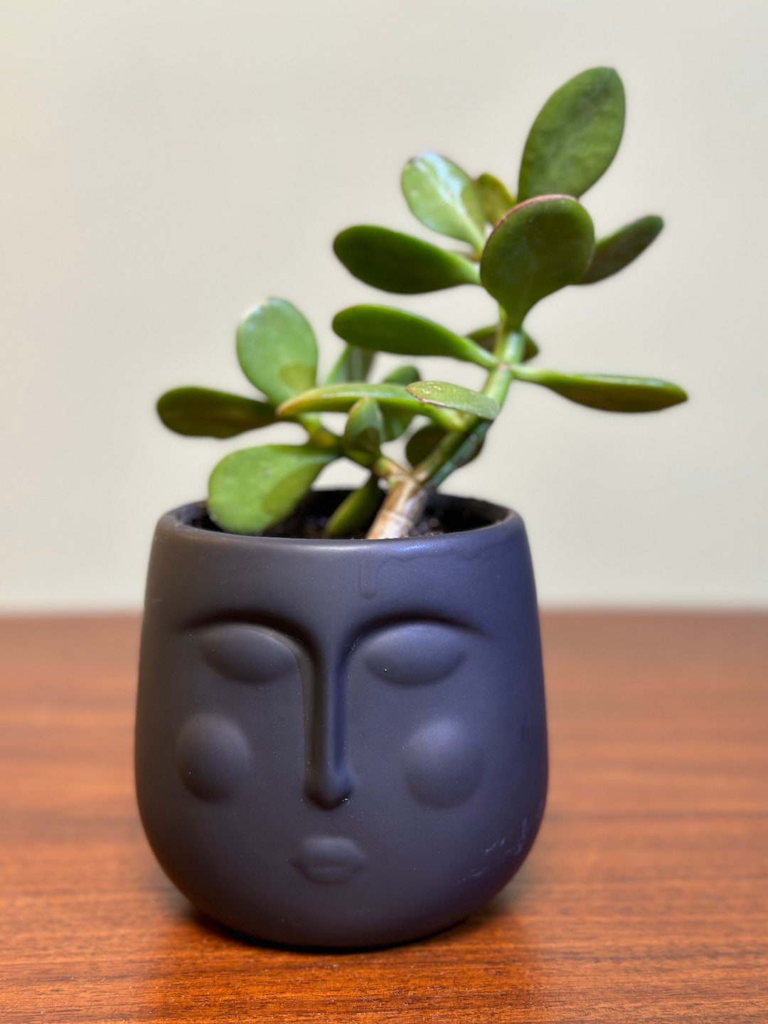 Sleeping Stone Face Planter Pot Indoor Outdoor Plant - Etsy