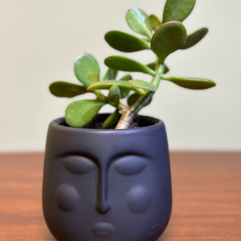 Face Planter Pot - Etsy