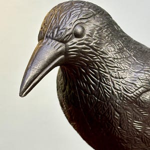 Realistic Plastic Crow Raven Bird Halloween Decoration - Etsy