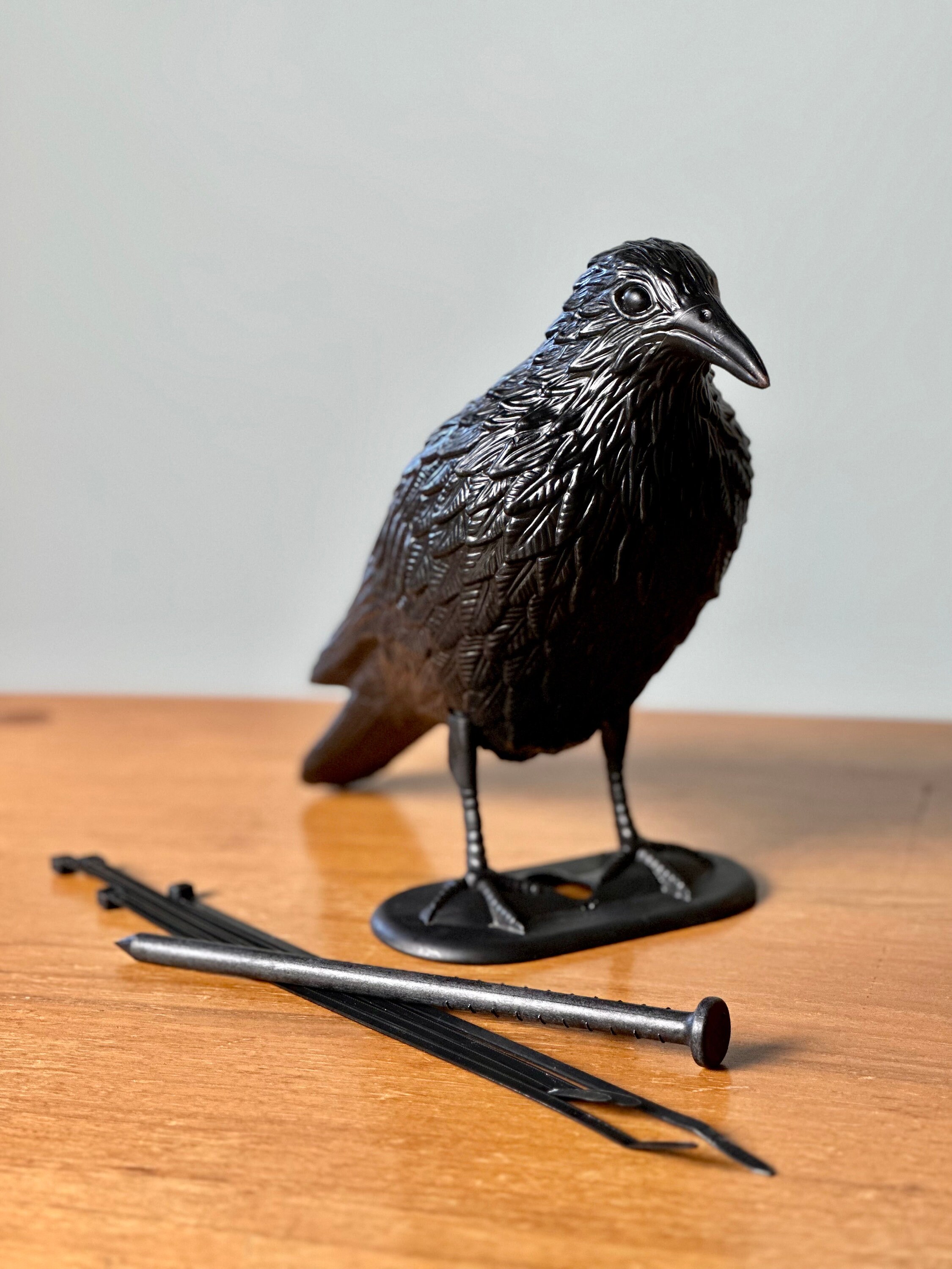 PREMIUM Realistic Plastic Crow Raven Bird Halloween - Etsy