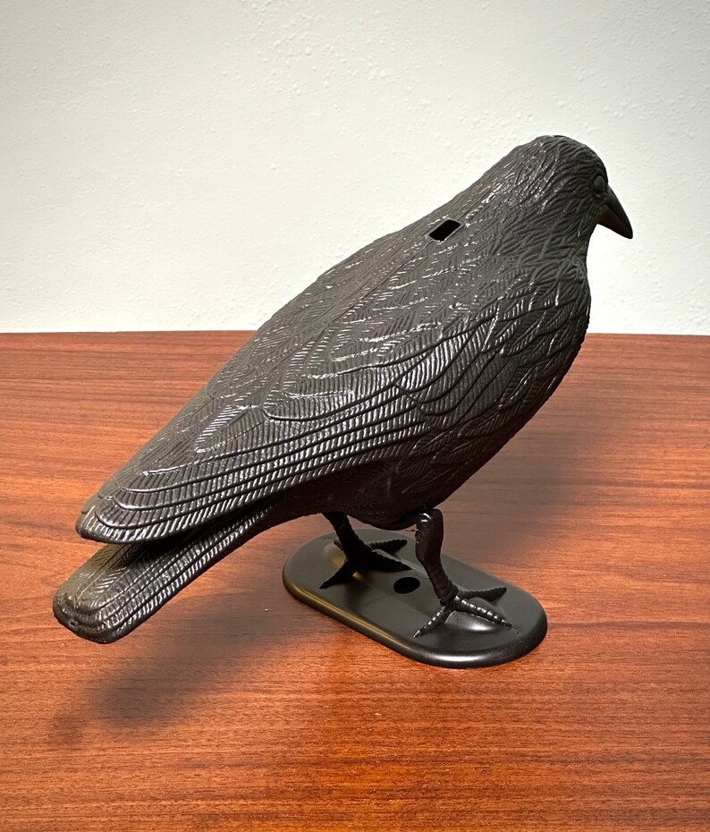 Realistic Plastic Crow Raven Bird Halloween Decoration - Etsy